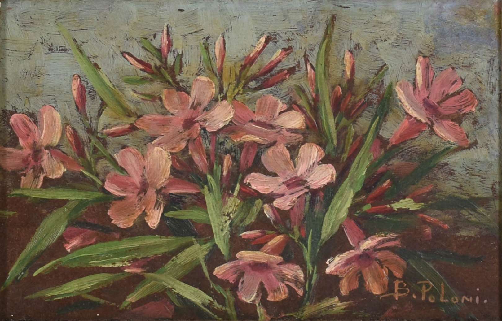 B. POLONI, Flores - Galeria Alphaville
