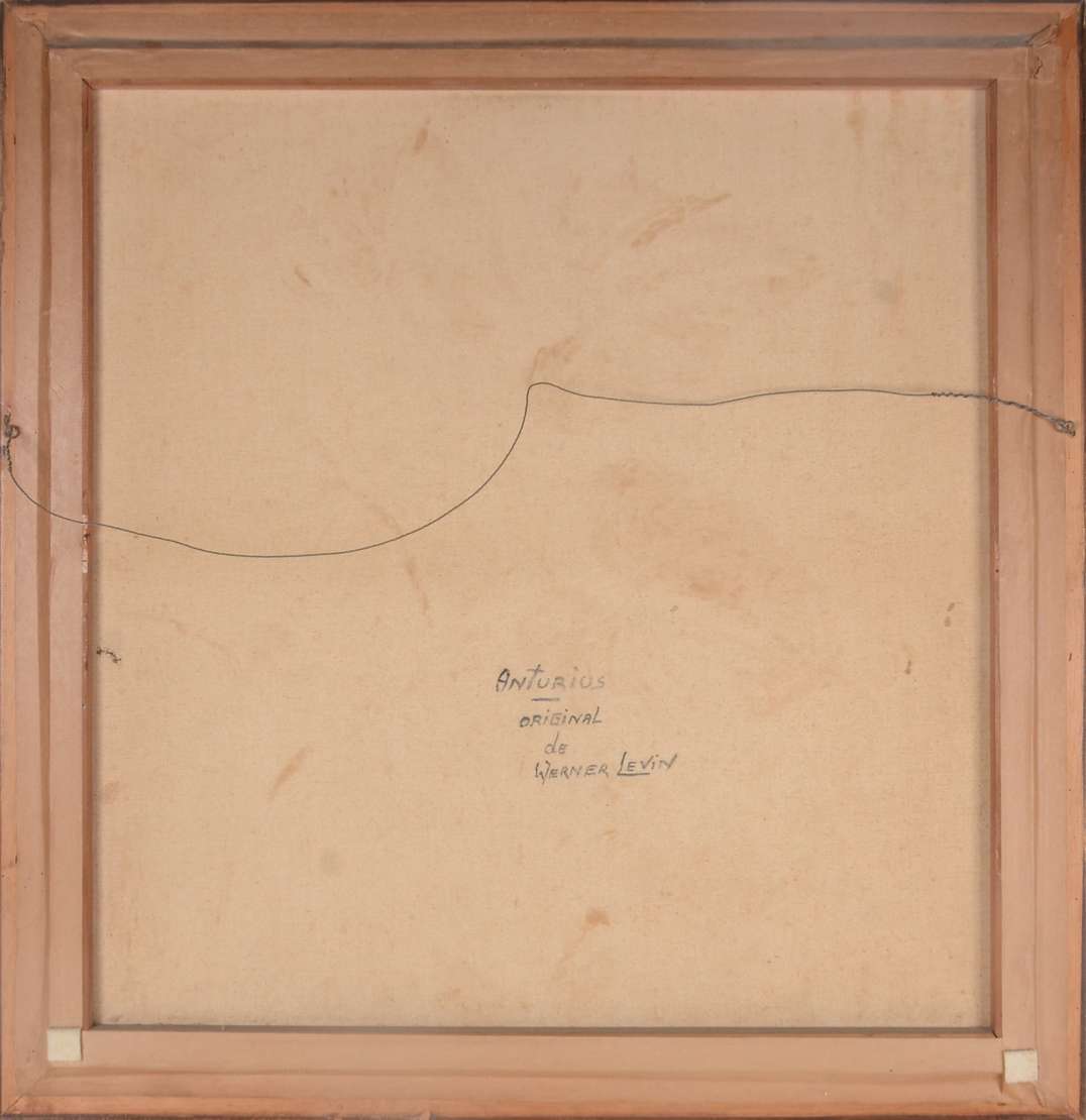 WERNER LEVIN (1938), Antúrios - Galeria Alphaville