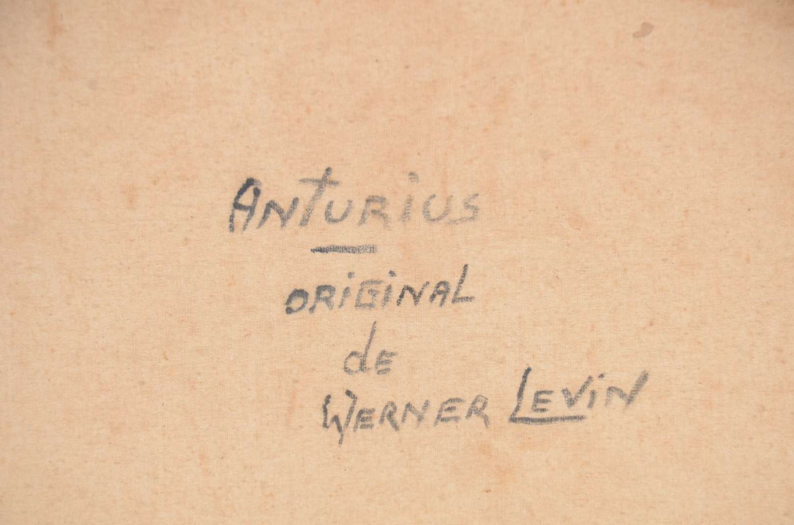WERNER LEVIN (1938), Antúrios - Galeria Alphaville