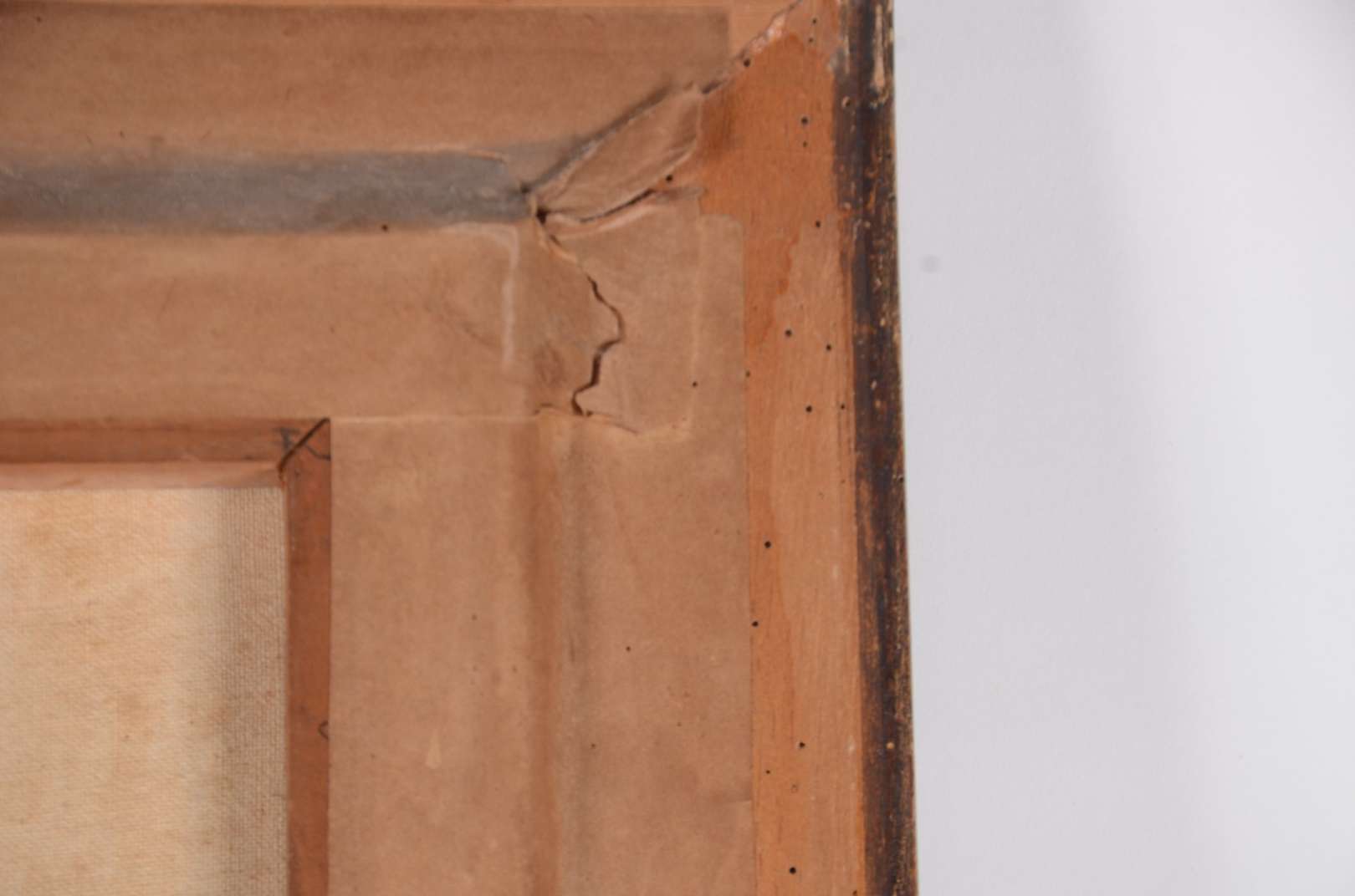 WERNER LEVIN (1938), Antúrios - Galeria Alphaville