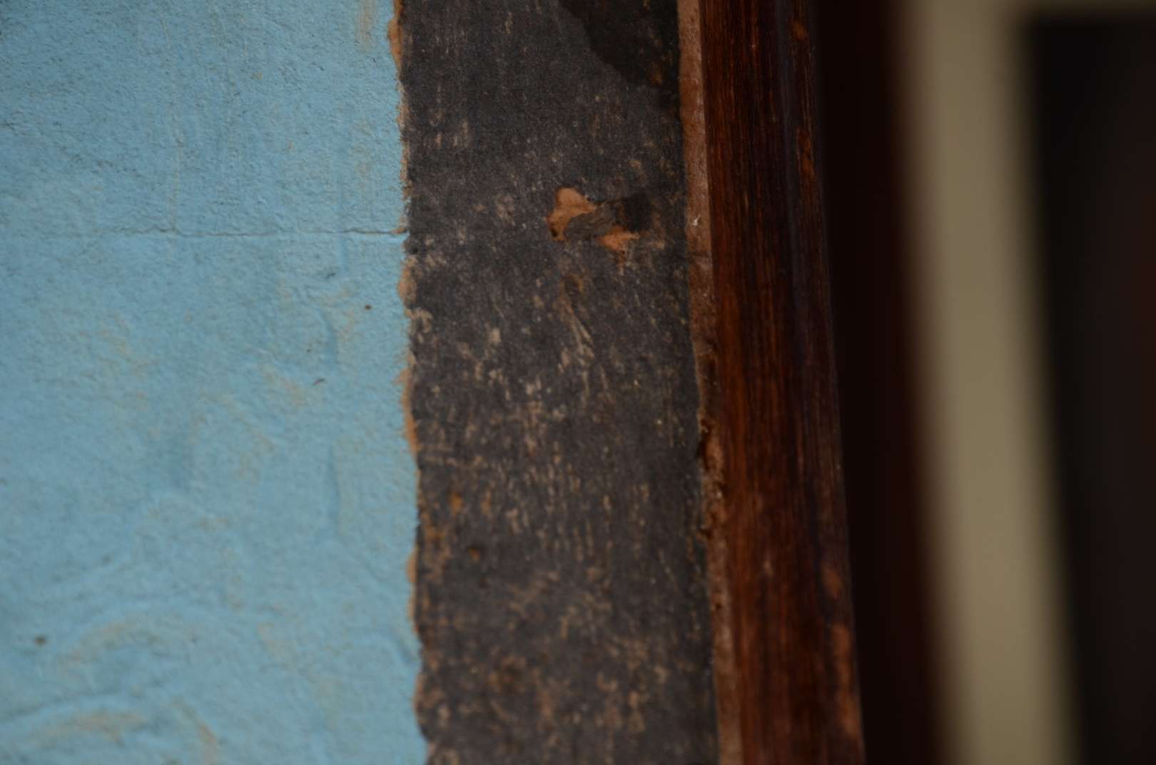 Manuel Messias (1945-2001), Minha Efêmera - Galeria Alphaville