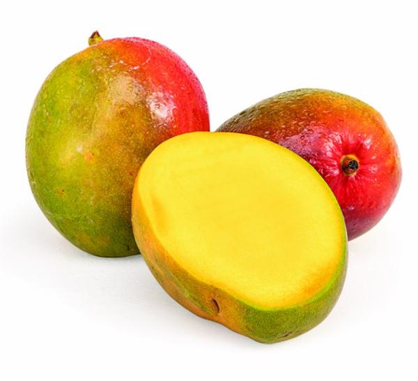 MANGA ROSA KG - Estrela Azul