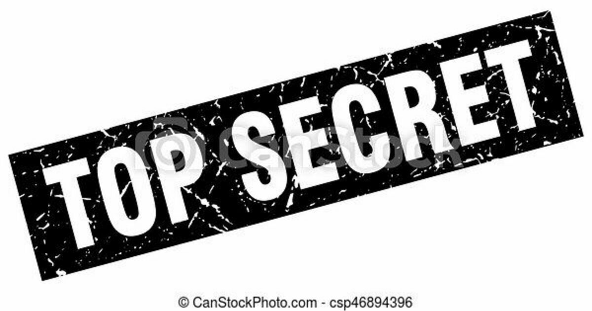 Top Secret: Among Us · Catarse