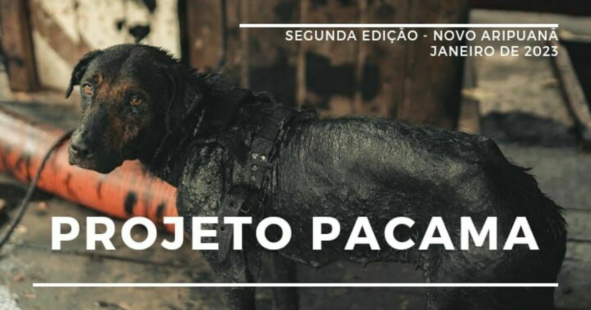 Projeto Pacama em Novo Aripuanã · Catarse