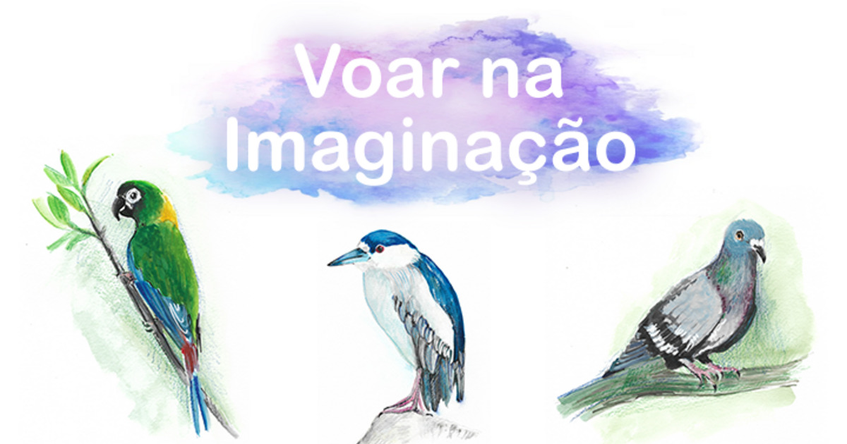 Voar na Imaginação · Catarse