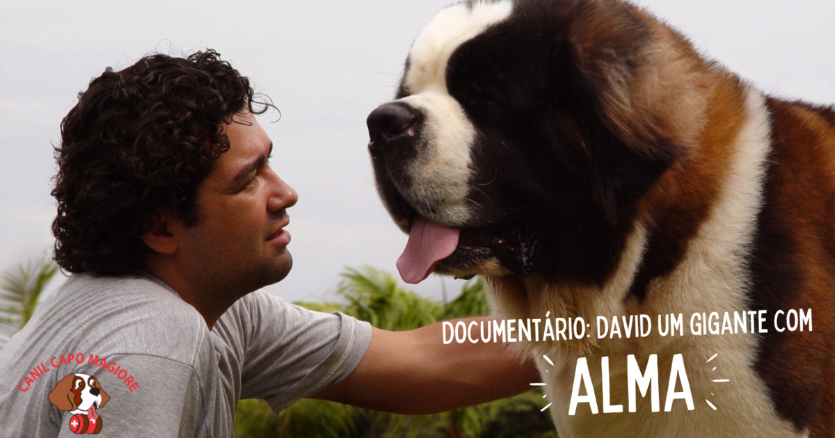 David um gigante com alma · Catarse