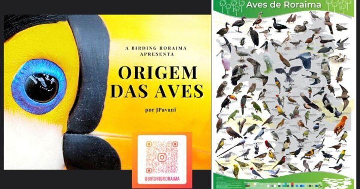 ORIGEM DAS AVES - EXPOSIÇÃO E LANÇAMENTO POSTER · Catarse