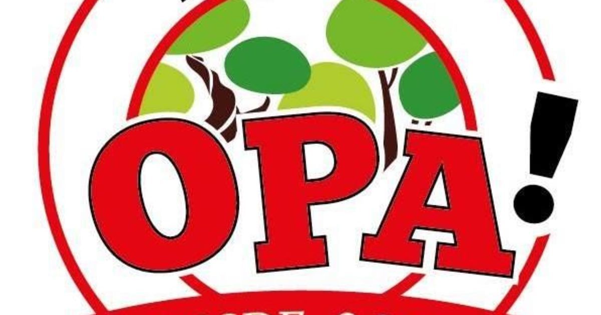 Bloco do OPA! 2017 - Carnaval de Rua · Catarse