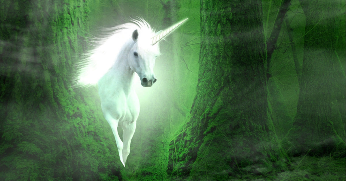 Revolution of Love · Catarse