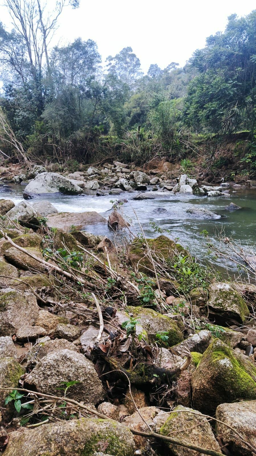 Sítio da Vall · Catarse