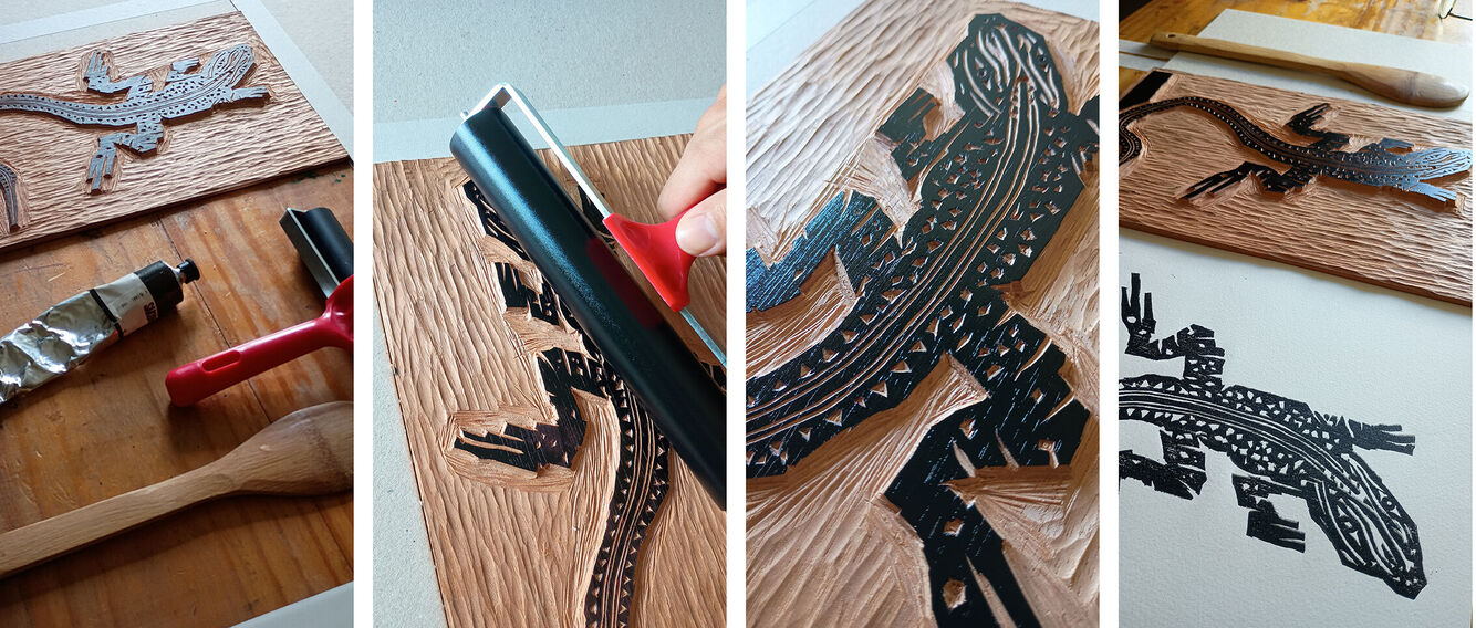 Python Fluente · Catarse