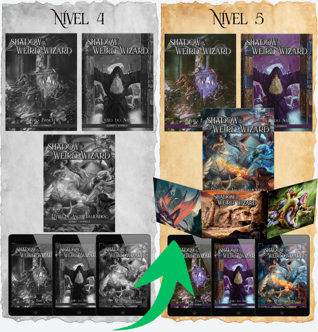 Shadow of the Weird Wizard - Late Pledge · Catarse