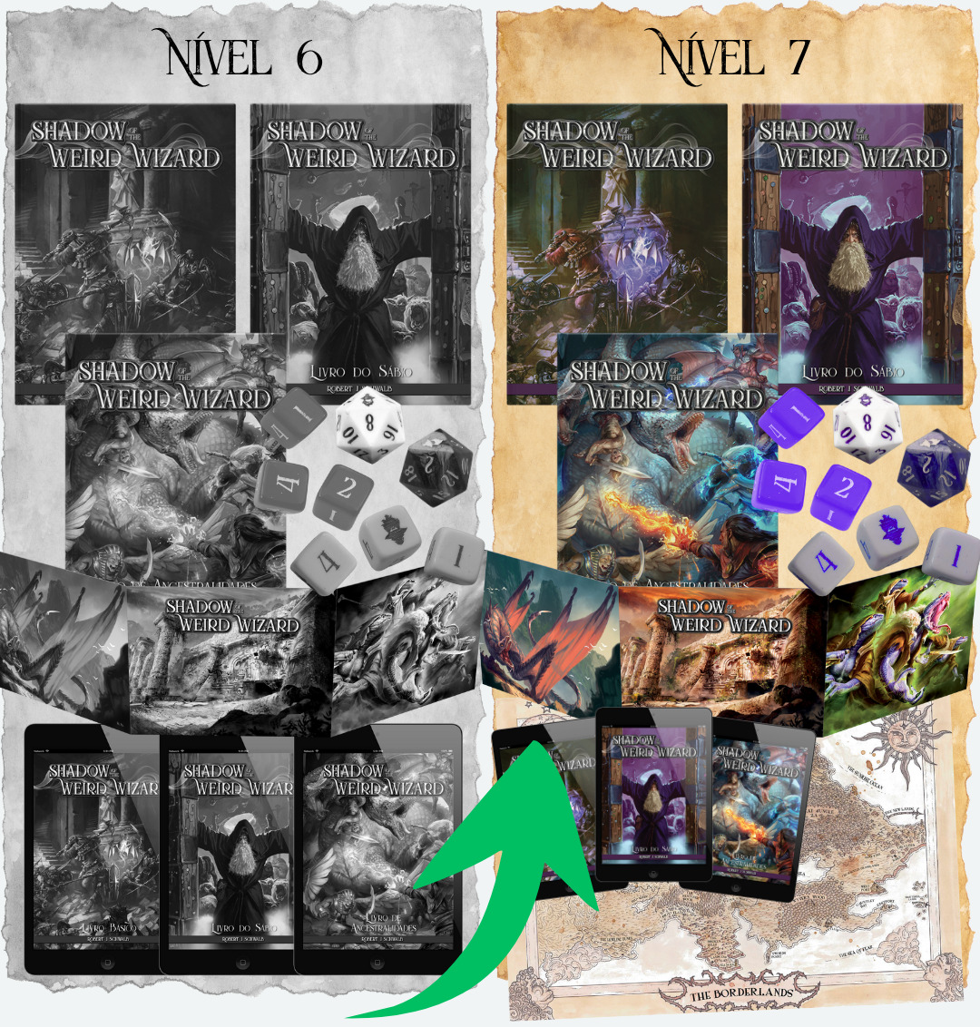 Shadow of the Weird Wizard - Late Pledge · Catarse