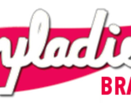 PyLadies Brasil · Catarse