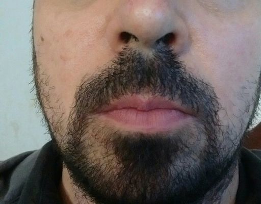 Daniel Fernando da Silva · Catarse