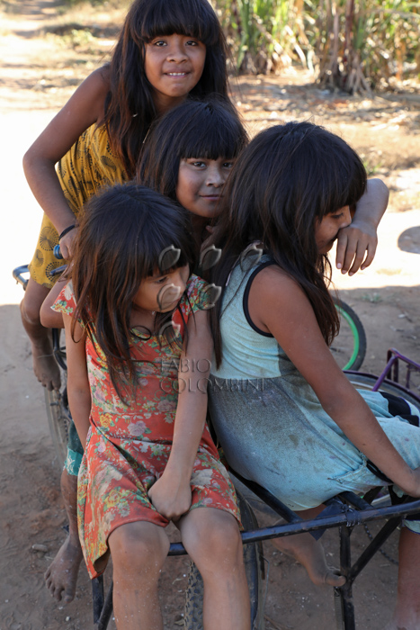 Fabio Colombini - Zoom