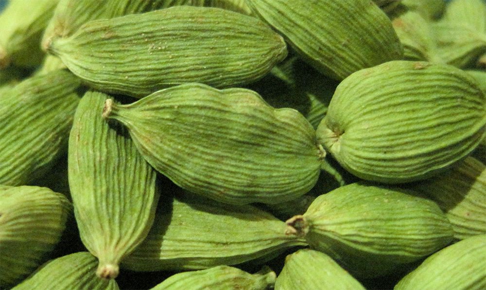 Cardamomo, Como Cozinhar, Benefícios a Saúde, História e Receita ...