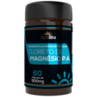 CLORETO DE MAGNESIO 60 CAPS 500MG - ACTIBIO - FLORA AZUL