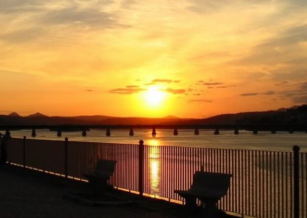 Floricultura Colatina: flores online em Colatina | Isabela Flores