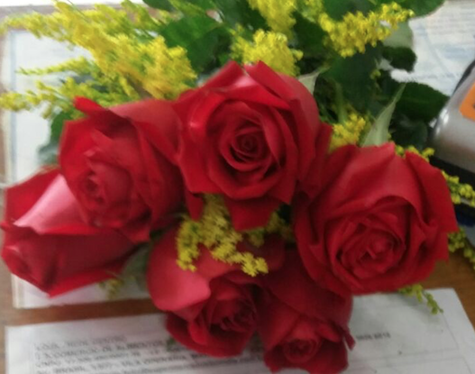 Floricultura Timon: Comprar Flores Online, Buquês e Cestas | Isabela Flores