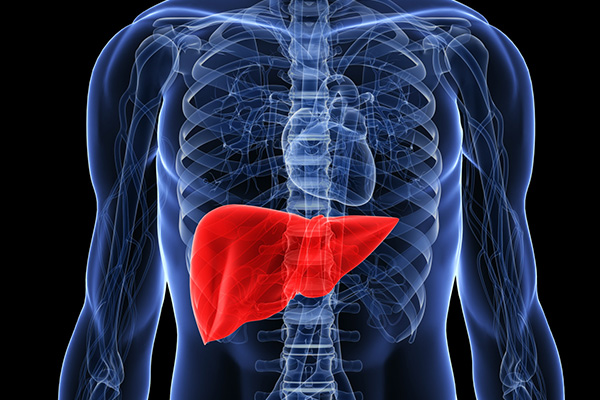 É o fígado - Flowing