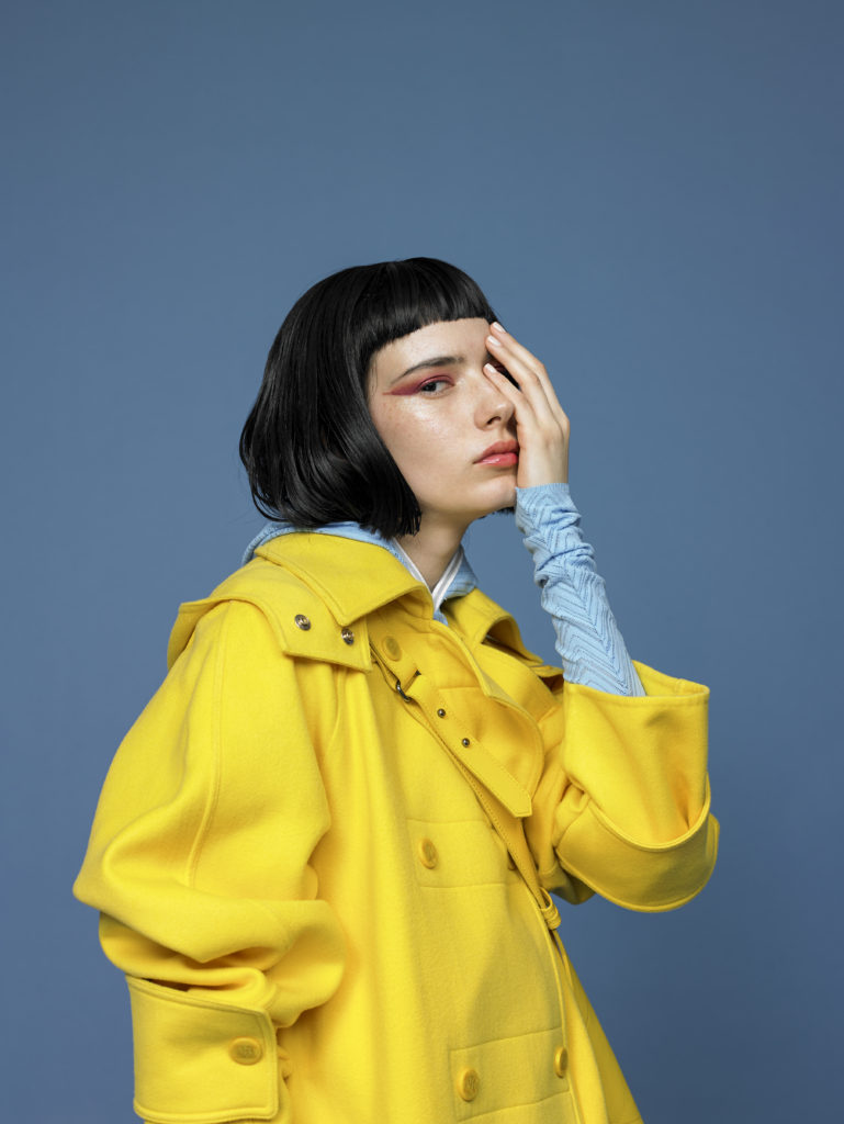 Ford Models Minas Gerais