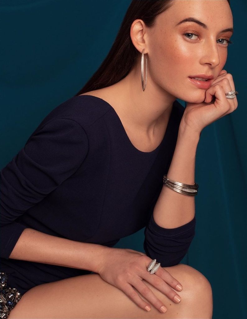 Ford Models Minas Gerais