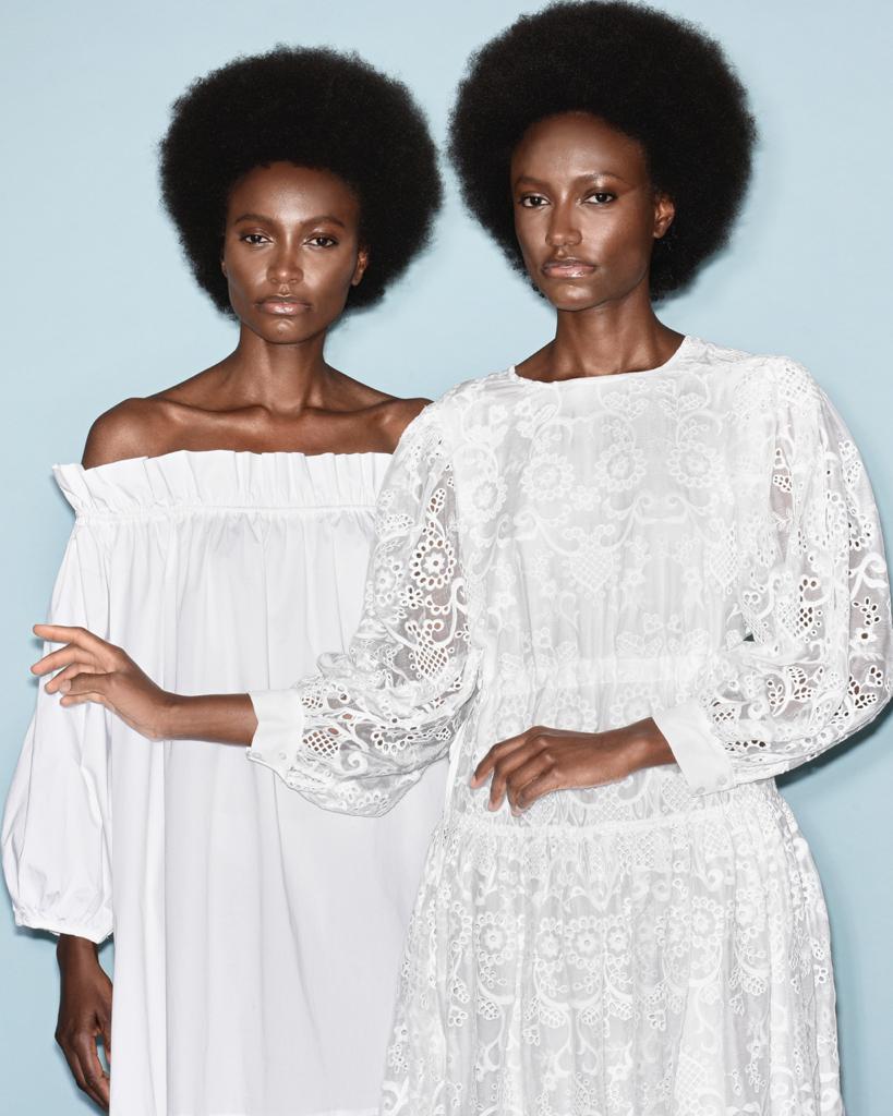 Ford Models Minas Gerais