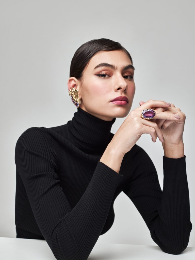 Ford Models Minas Gerais