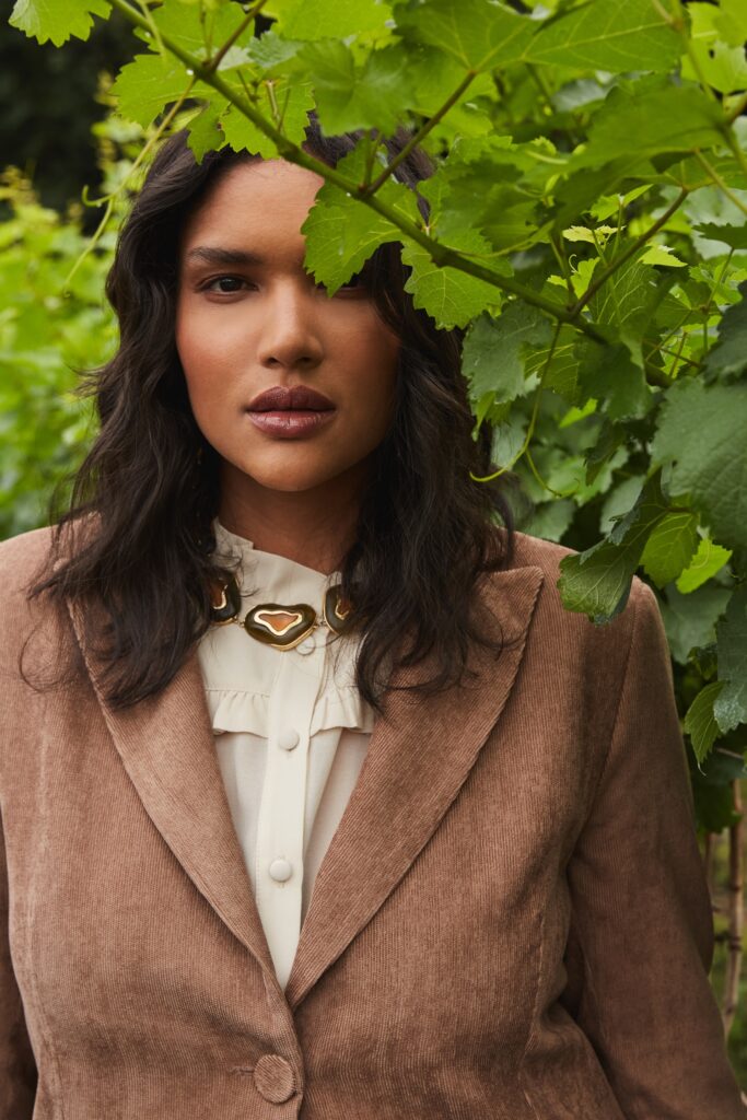 Ford Models Minas Gerais