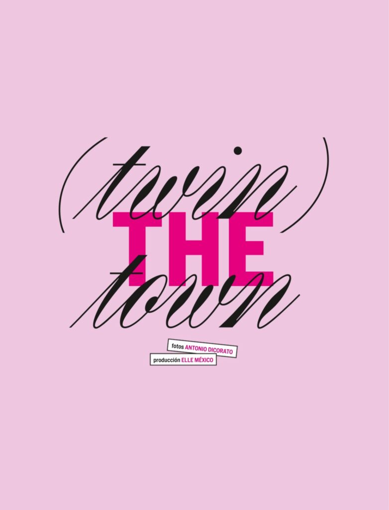 Ford Models Minas Gerais