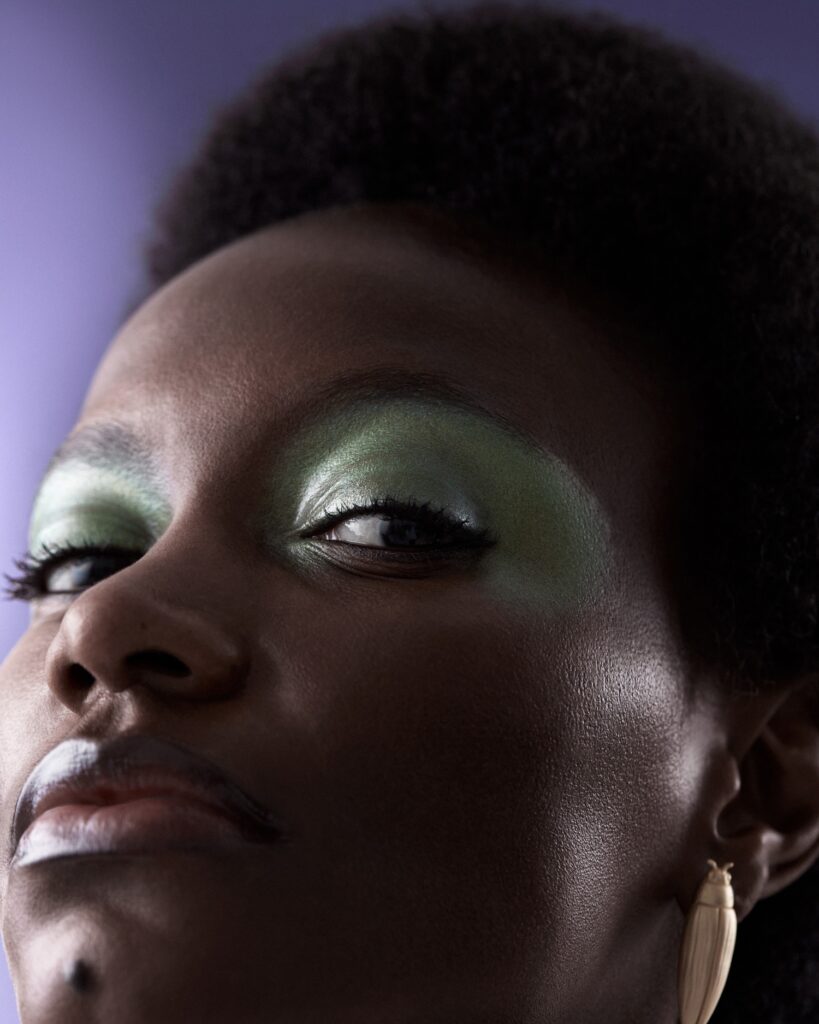 Ford Models Minas Gerais