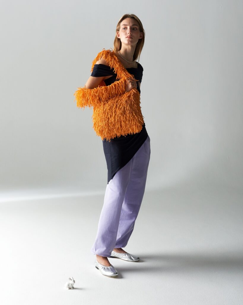 Ford Models Minas Gerais