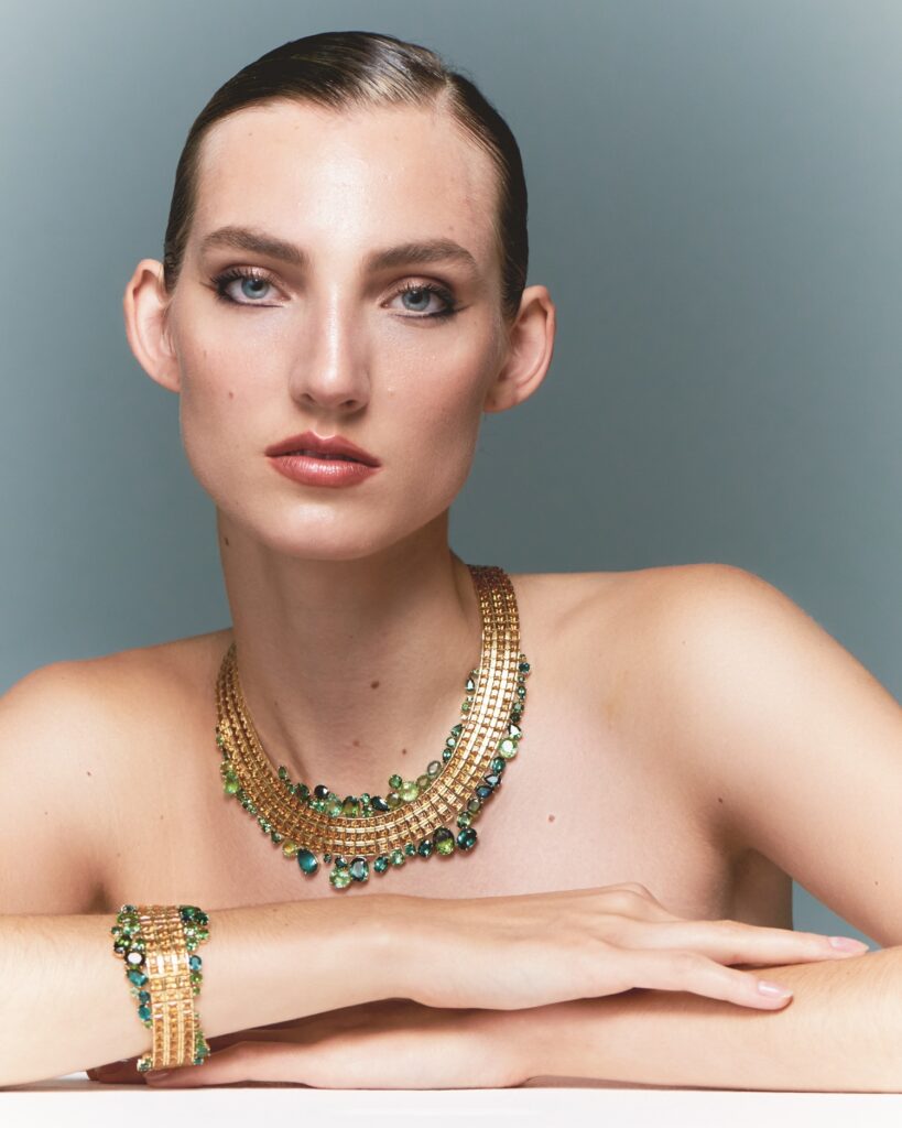 Ford Models Minas Gerais