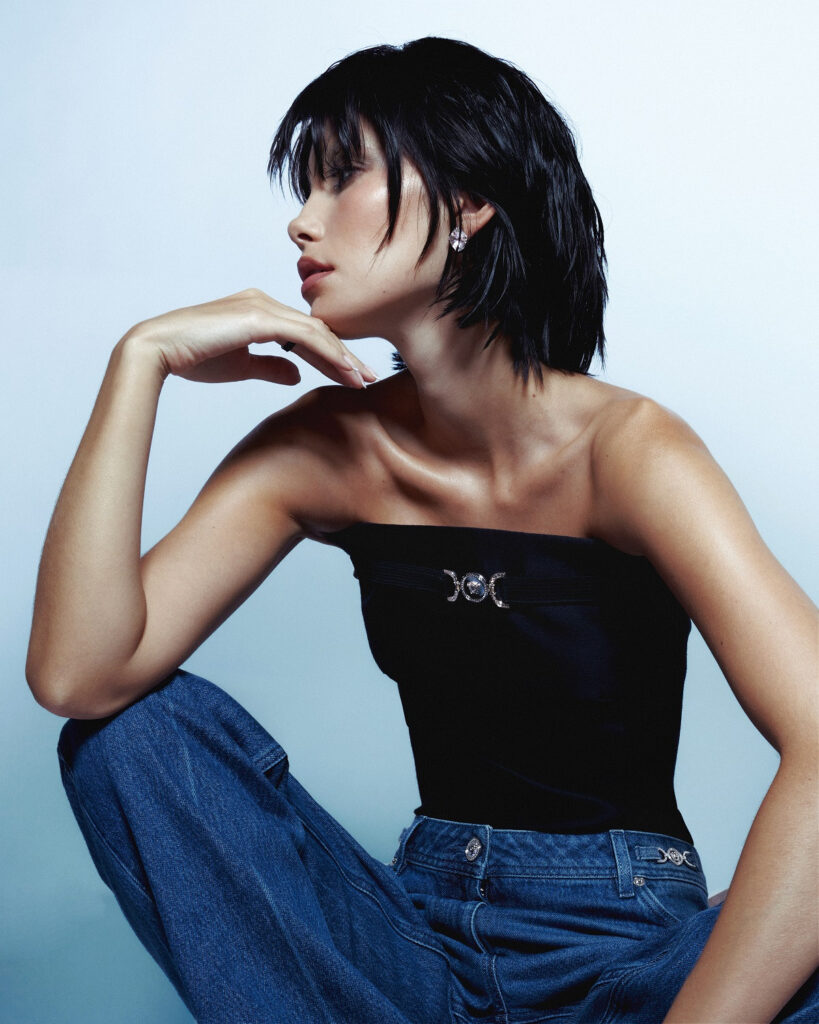 Ford Models Santa Catarina