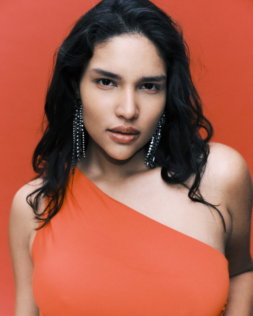 Ford Models Minas Gerais