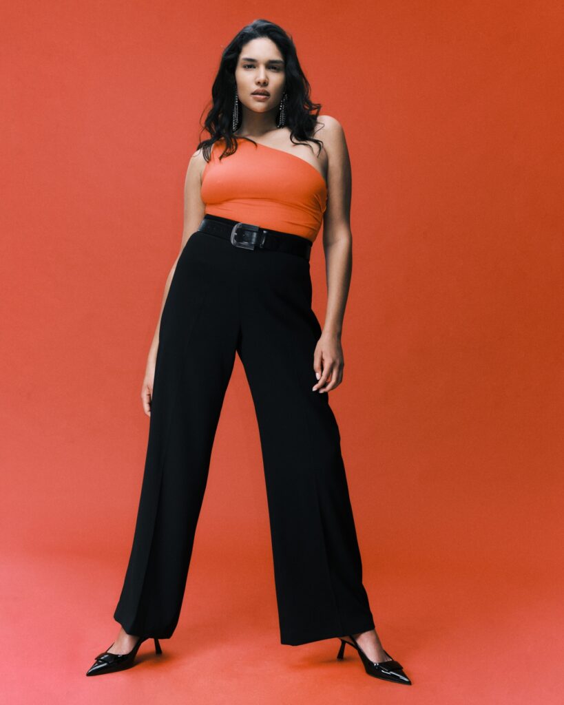 Ford Models Minas Gerais