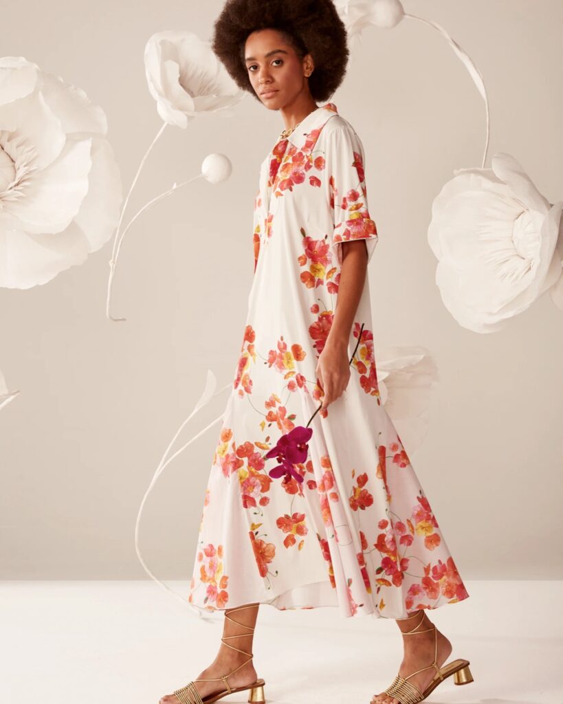 Ford Models Minas Gerais