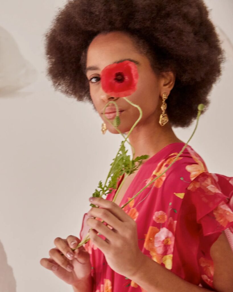 Ford Models Santa Catarina