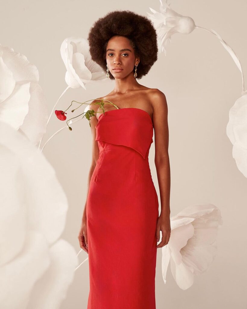 Ford Models Santa Catarina