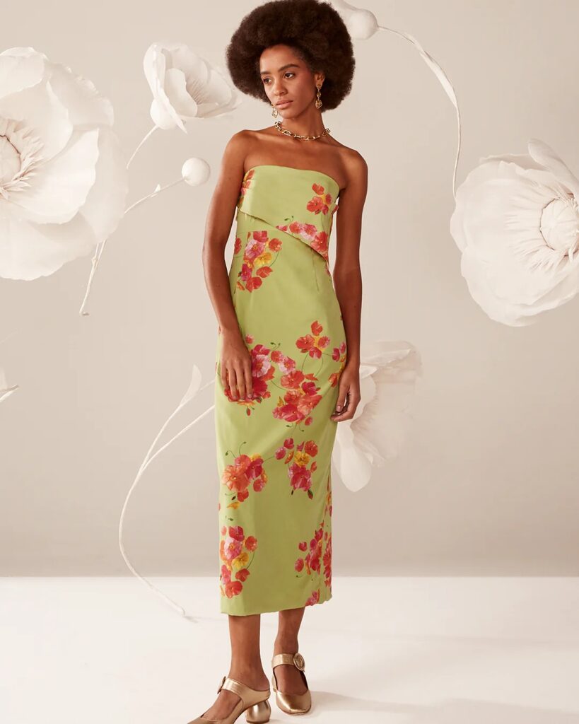 Ford Models Santa Catarina