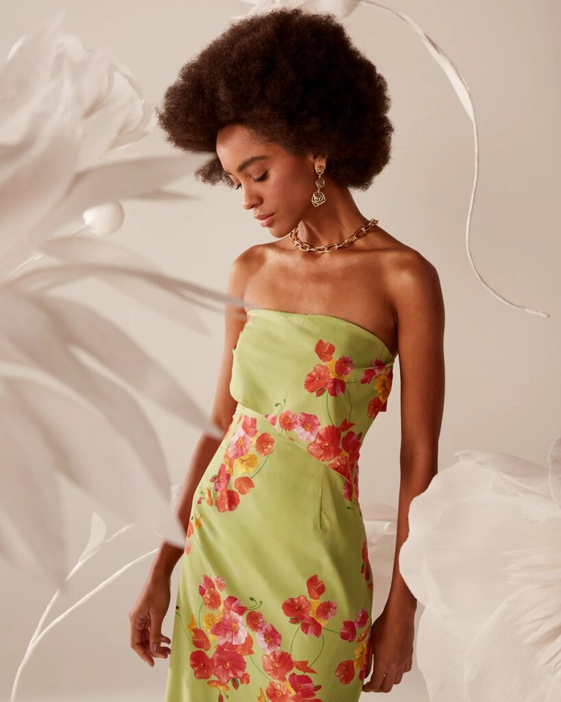 Ford Models Santa Catarina