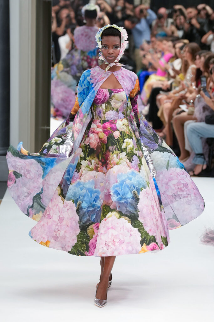 Ford Models Santa Catarina