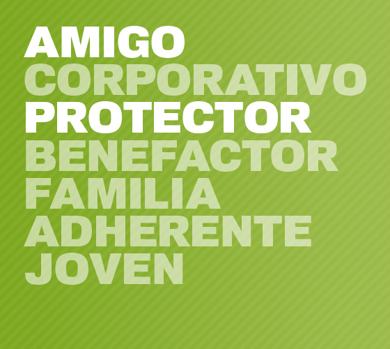 MALBA Asociación Amigos Malba