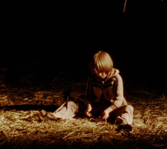 Cine Programación Películas Malba