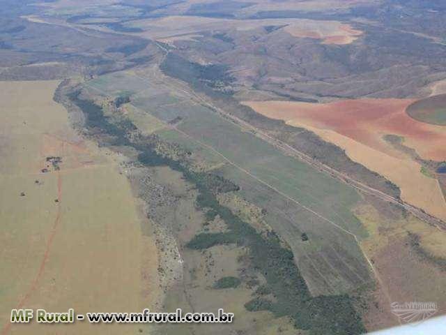 Fazenda em Planaltina de Goiás - Go em Planaltina de Goiás GO à 125743