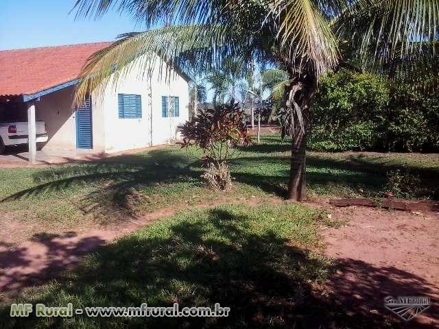 Fazenda Com 275 Hectares - Cassilândia/Ms – Ref. 084 em 157810