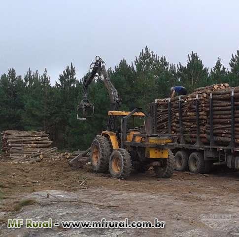 Trator Valmet 980 Com Muck Florestal em Curitiba PR à venda. 175643