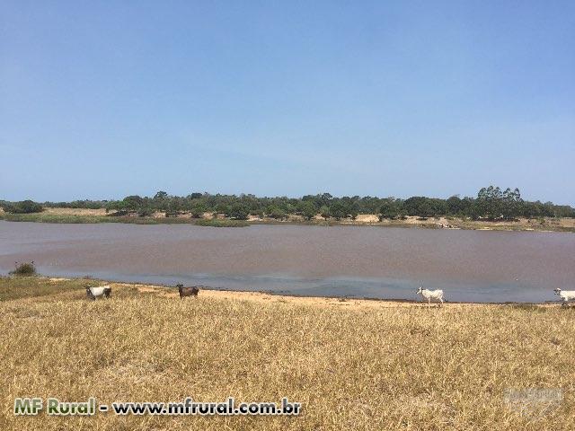 Fazenda 135 Hectares em Barra do Riacho, Aracruz/Es em Aracruz 191390