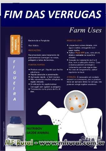 Fim da Papilomatose Verrugal(Figueiras) na Pelagem E Nos Tetos 125672